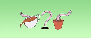 Worms at Work: The Basics of Vermicomposting | Jefferson City News Tribune