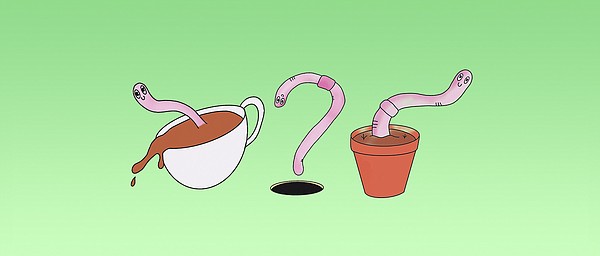 Worms at Work: The Basics of Vermicomposting | Jefferson City News Tribune