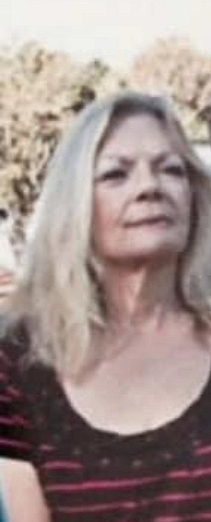 Patricia Diane Hayes | El Dorado News