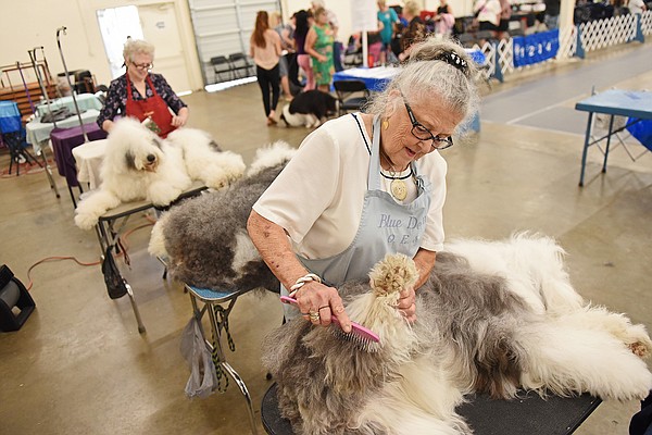 Dog show draws contestants to Little Rock | Northwest Arkansas Democrat ...