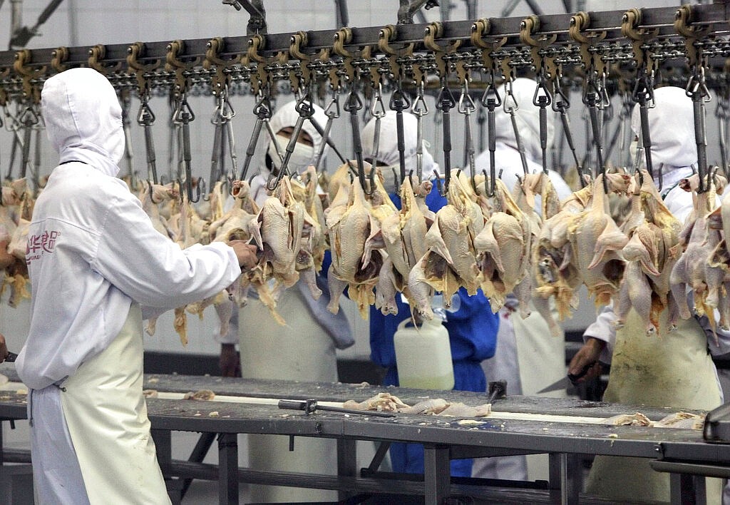 Poultry processing facilities found to contribute to worker ...