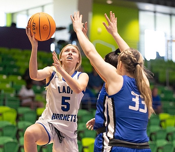 UNDER THE RADAR: Bryant’s Brilynn Findley | Whole Hog Sports