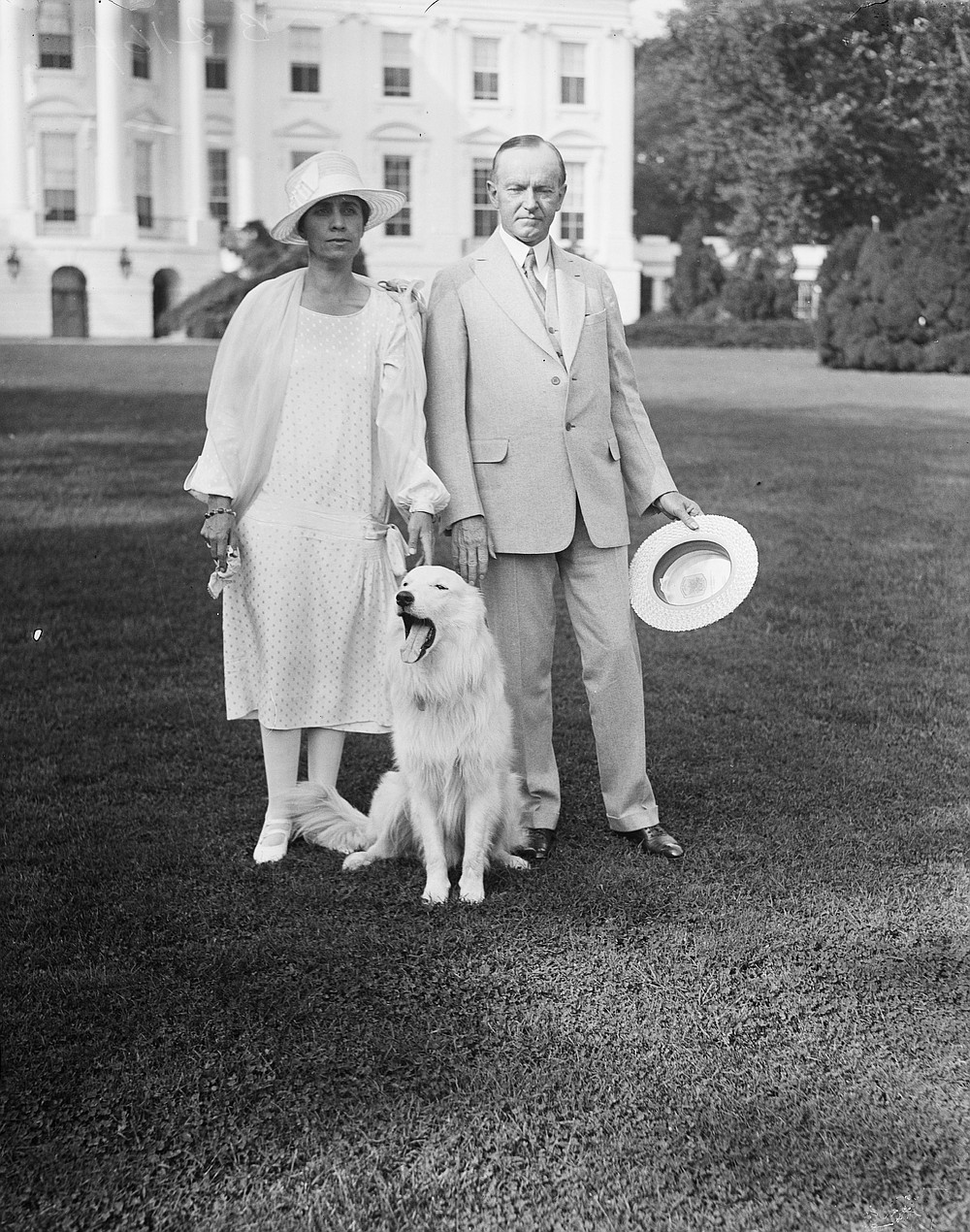 OLD NEWS: Rebecca, Raccoon of the White House, clawed her way into ...