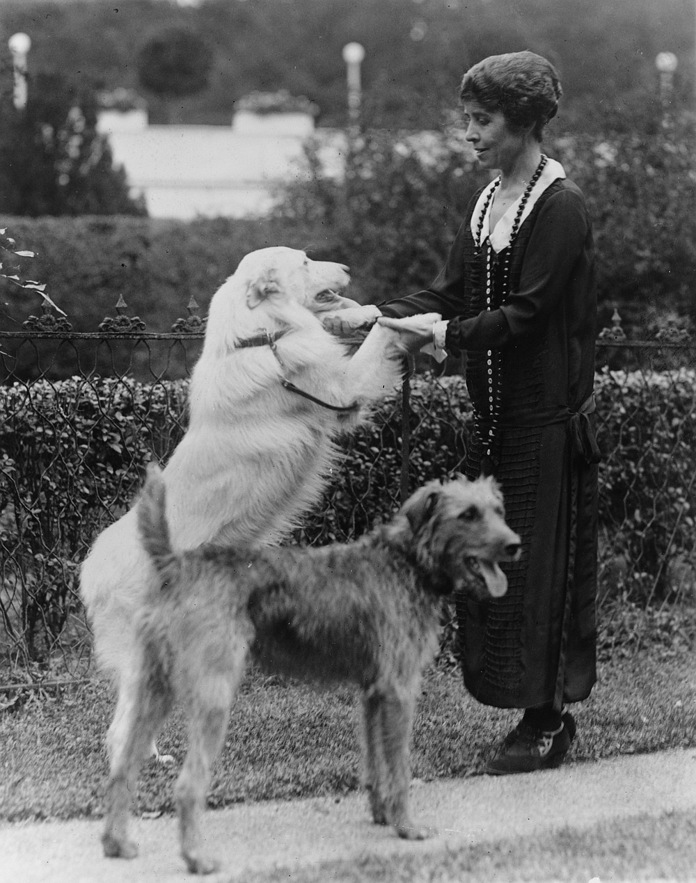 OLD NEWS: Rebecca, Raccoon of the White House, clawed her way into ...