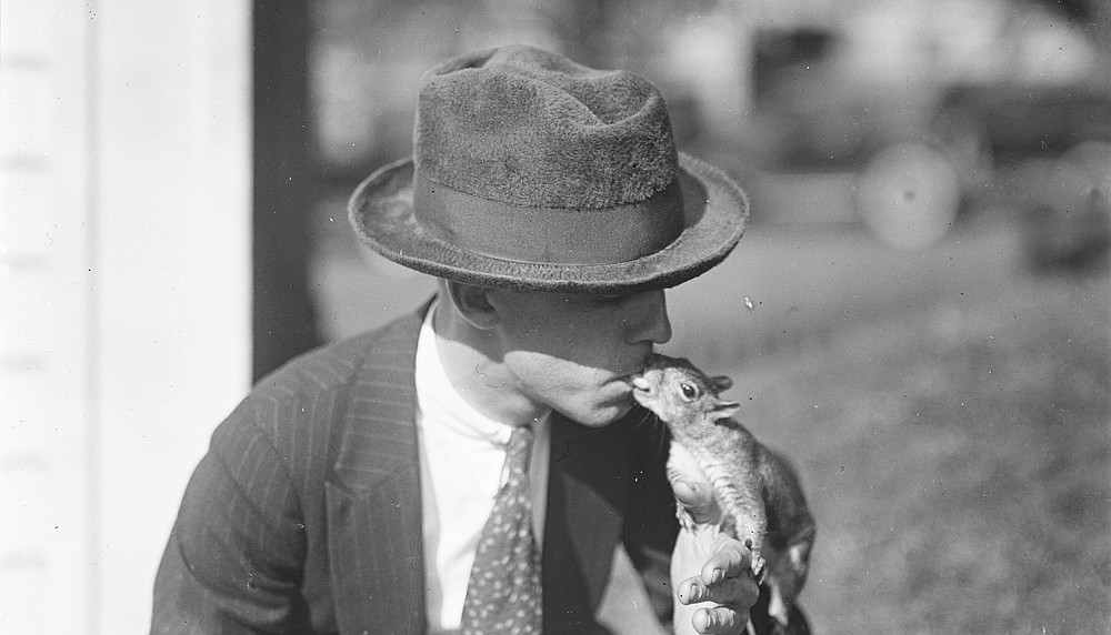 OLD NEWS: Rebecca, Raccoon of the White House, clawed her way into ...