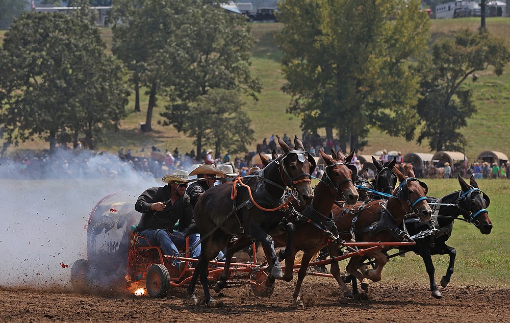 Chuckwagon Races | The Arkansas Democrat-Gazette - Arkansas' Best News ...