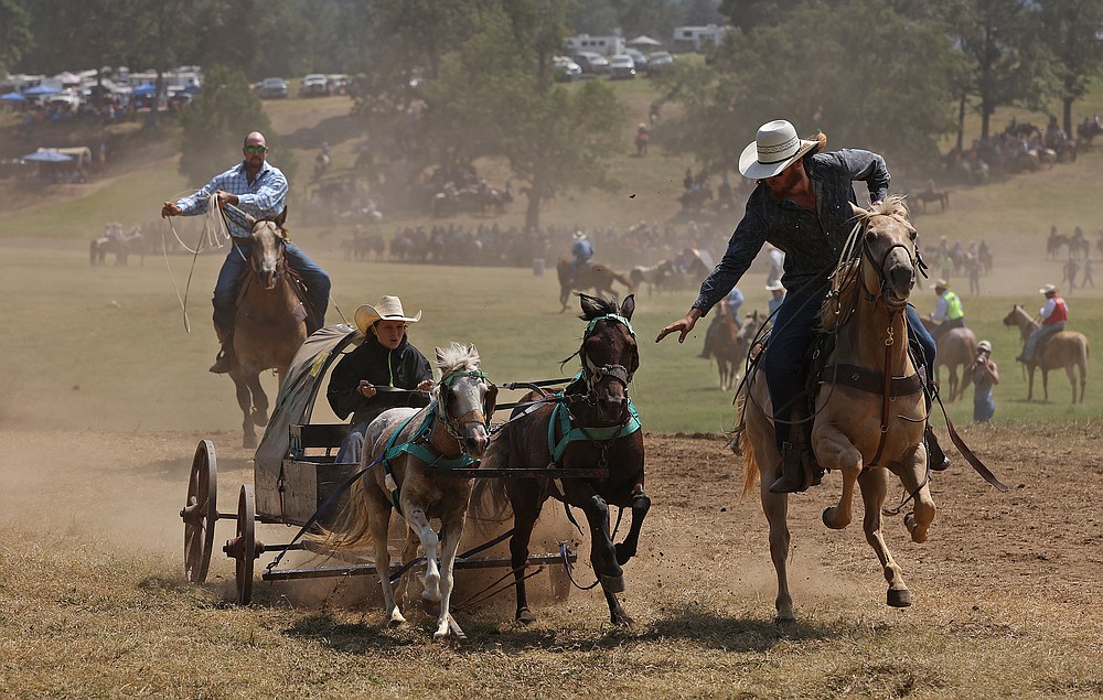 Chuckwagon Races | The Arkansas Democrat-Gazette - Arkansas' Best News ...
