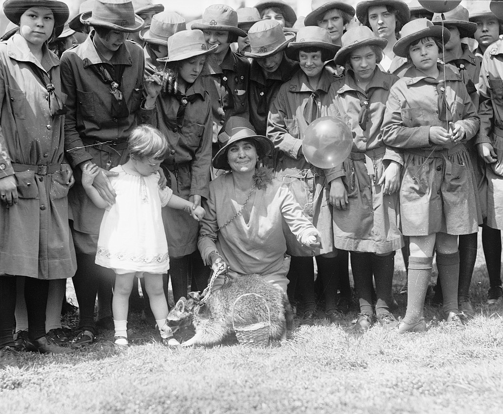 OLD NEWS: Rebecca, Raccoon of the White House, clawed her way into ...