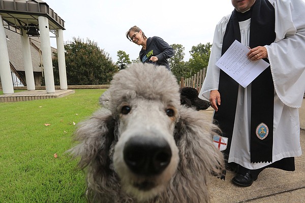 All God’s creatures: Blessing of the animals expands to other ...