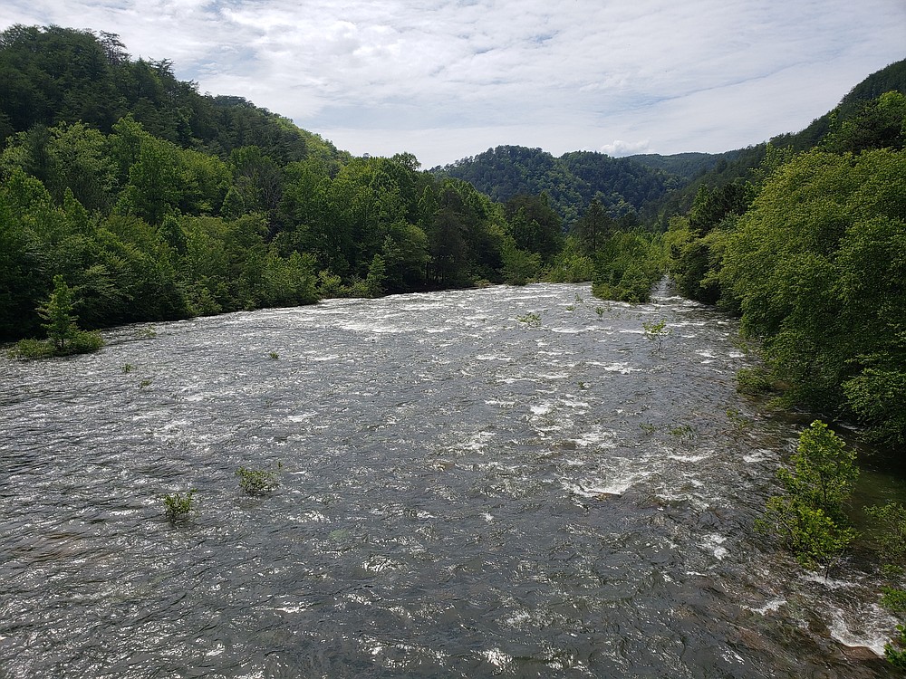 New trail guide to Tellico Plains area offers descriptions, trail maps ...