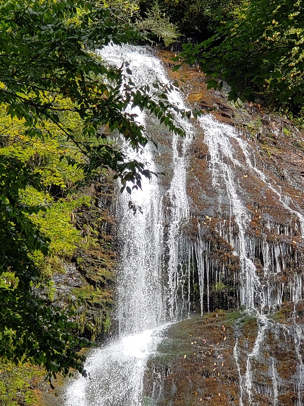 New trail guide to Tellico Plains area offers descriptions, trail maps ...