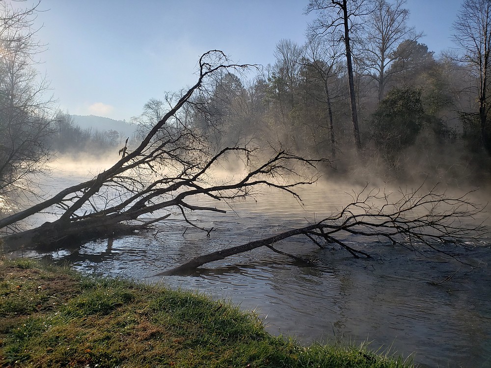 New trail guide to Tellico Plains area offers descriptions, trail maps ...