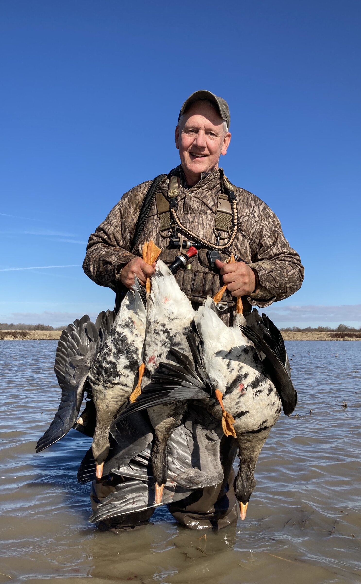 Goose storm: Large late flock of specklebellies generates a lifetime ...