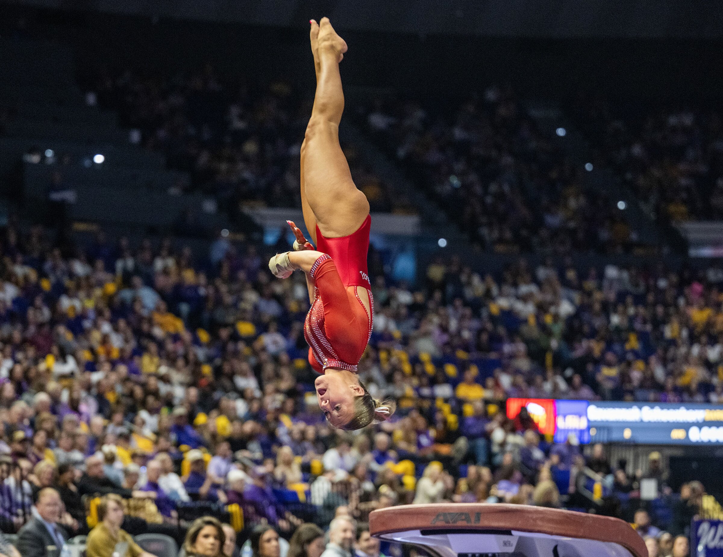Arkansas gymnasts stumble as LSU scores big during win | Northwest ...