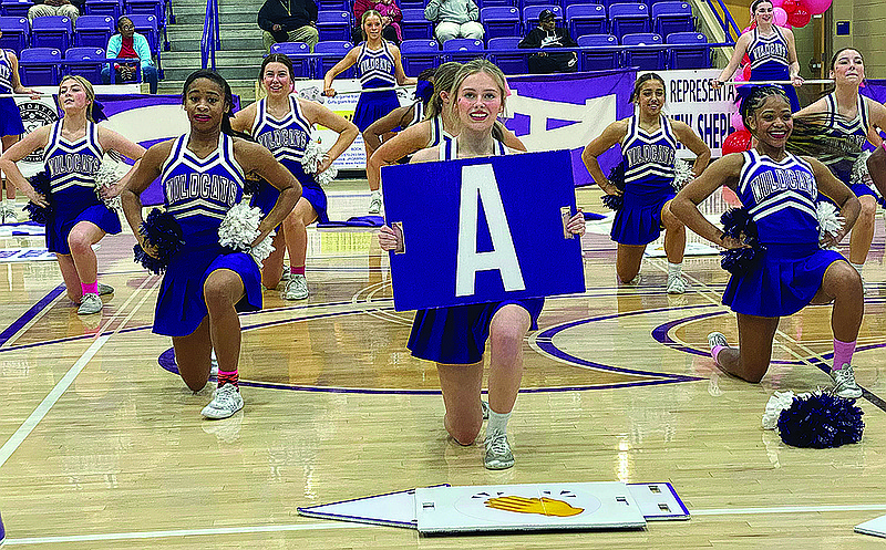 El Dorado to compete in national cheer competition | El Dorado News