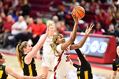 Women's Basketball | Whole Hog Sports