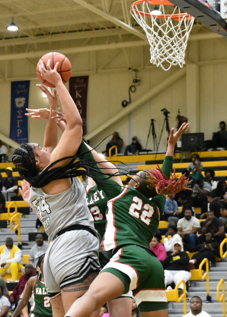 UA-Pine Bluff's Lady Lions close home slate with victory, secure first ...