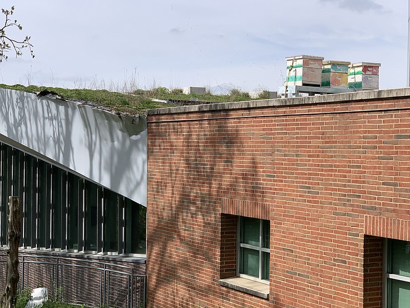 NWA EDITORIAL | Fire at library was fortunately small; extensive damage ...