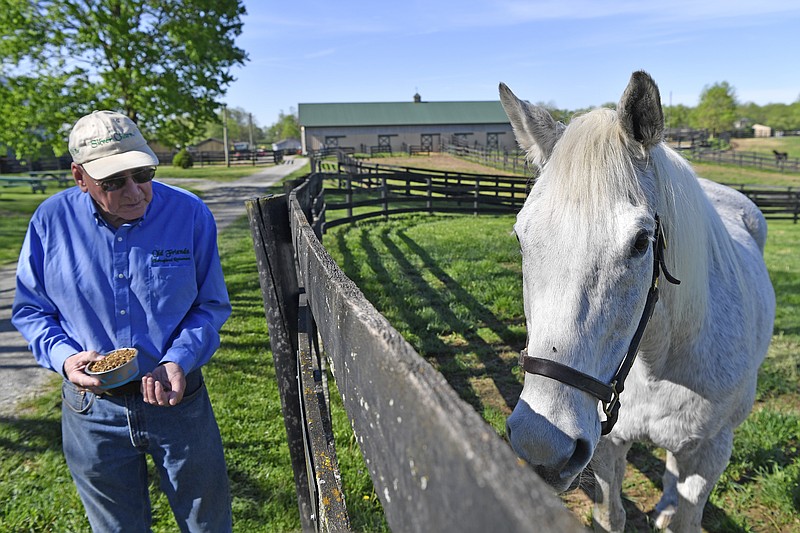 For ex-Derby winner Silver Charm, it's a life of leisure and Old ...