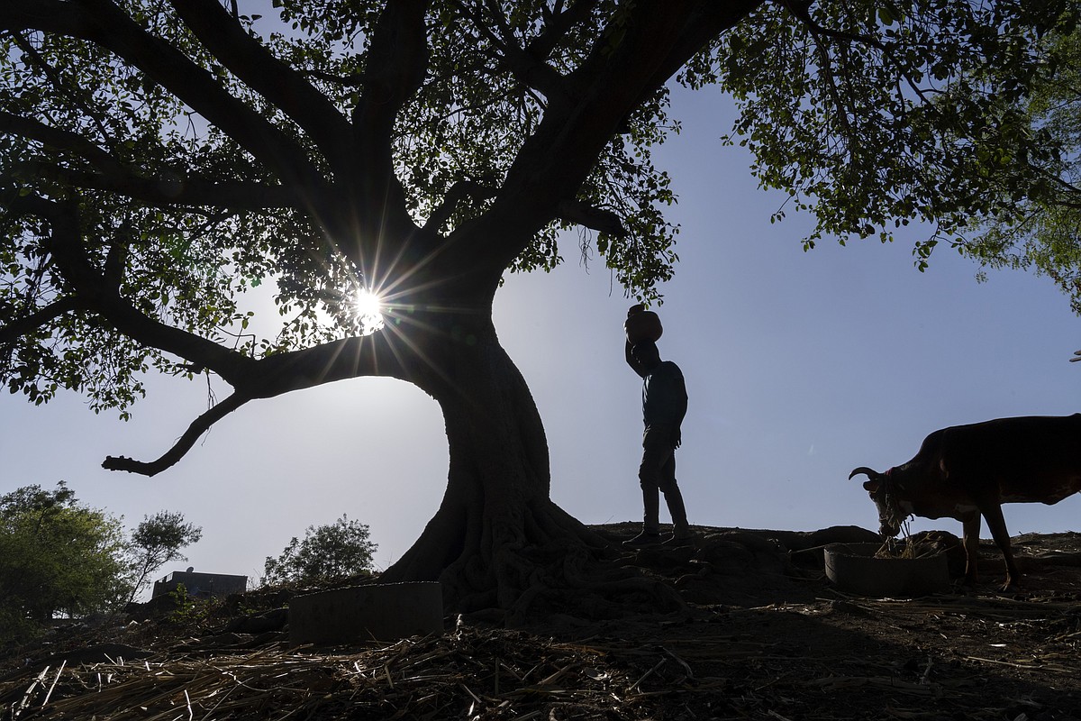 Climate change impacts millions in India. But as the country votes ...