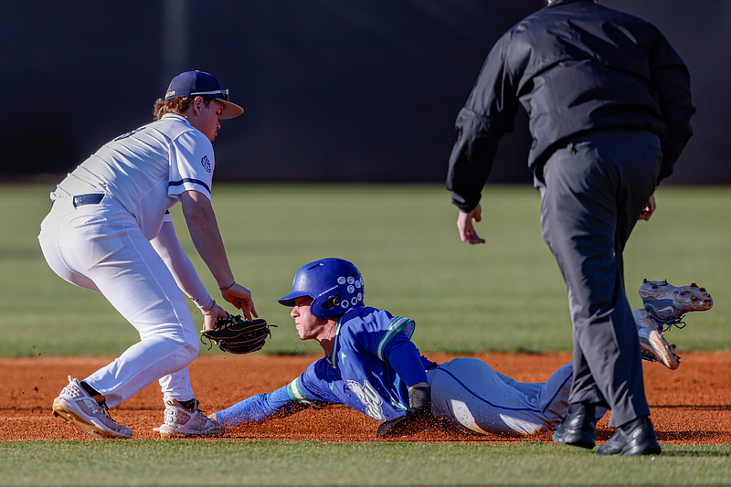 Arkansas baseball gets commitment from FGCU freshman star Charles ...