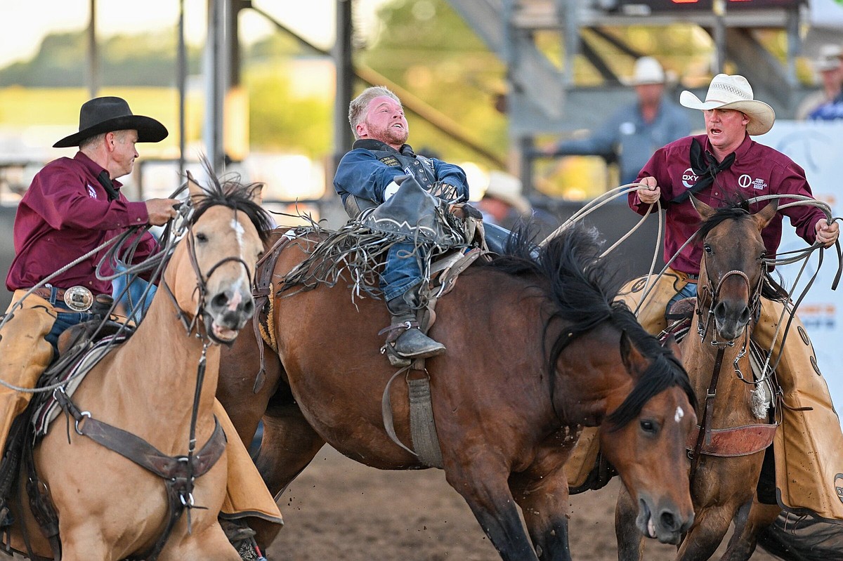 RODEO: Gingerich makes mark in Arkansas with 83; Huntsville’s Roddy ...