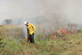 MDC to offer prescribed burn workshop in Williamsburg | Fulton Sun