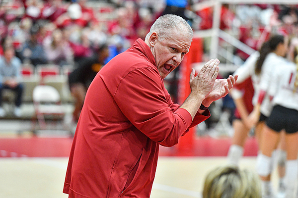 Volleyball | Whole Hog Sports