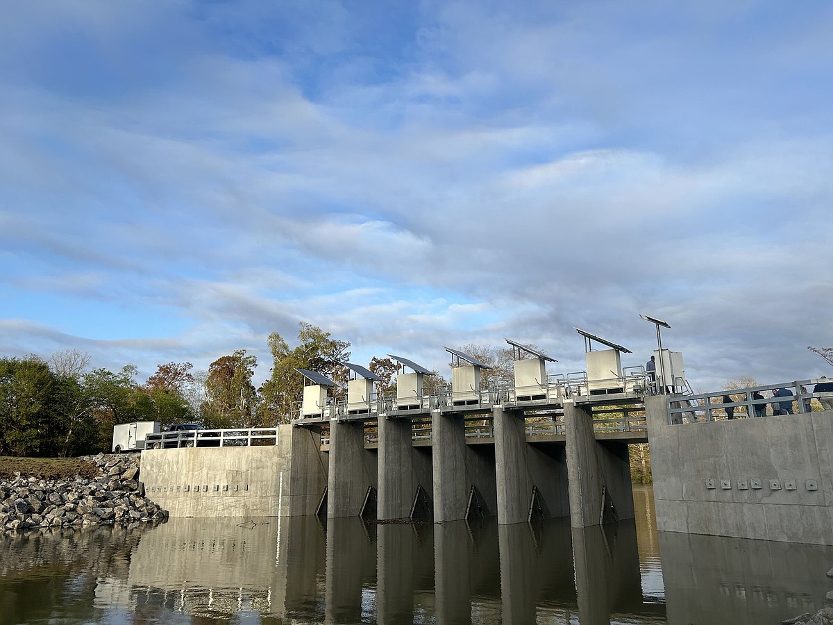 New day at WMA: Water structure symbolizes rebirth of green tree ...