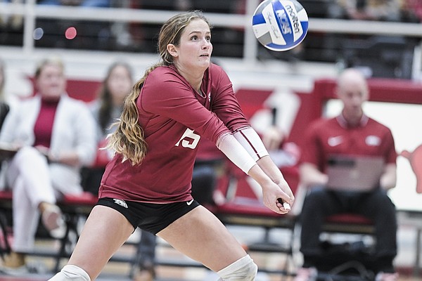 Volleyball | Whole Hog Sports
