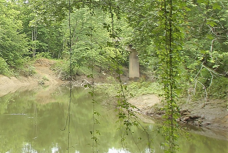 Absence of redfin darter fish raises red flag for creek near Greenbrier ...