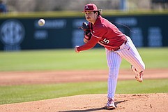 Baseball | Whole Hog Sports