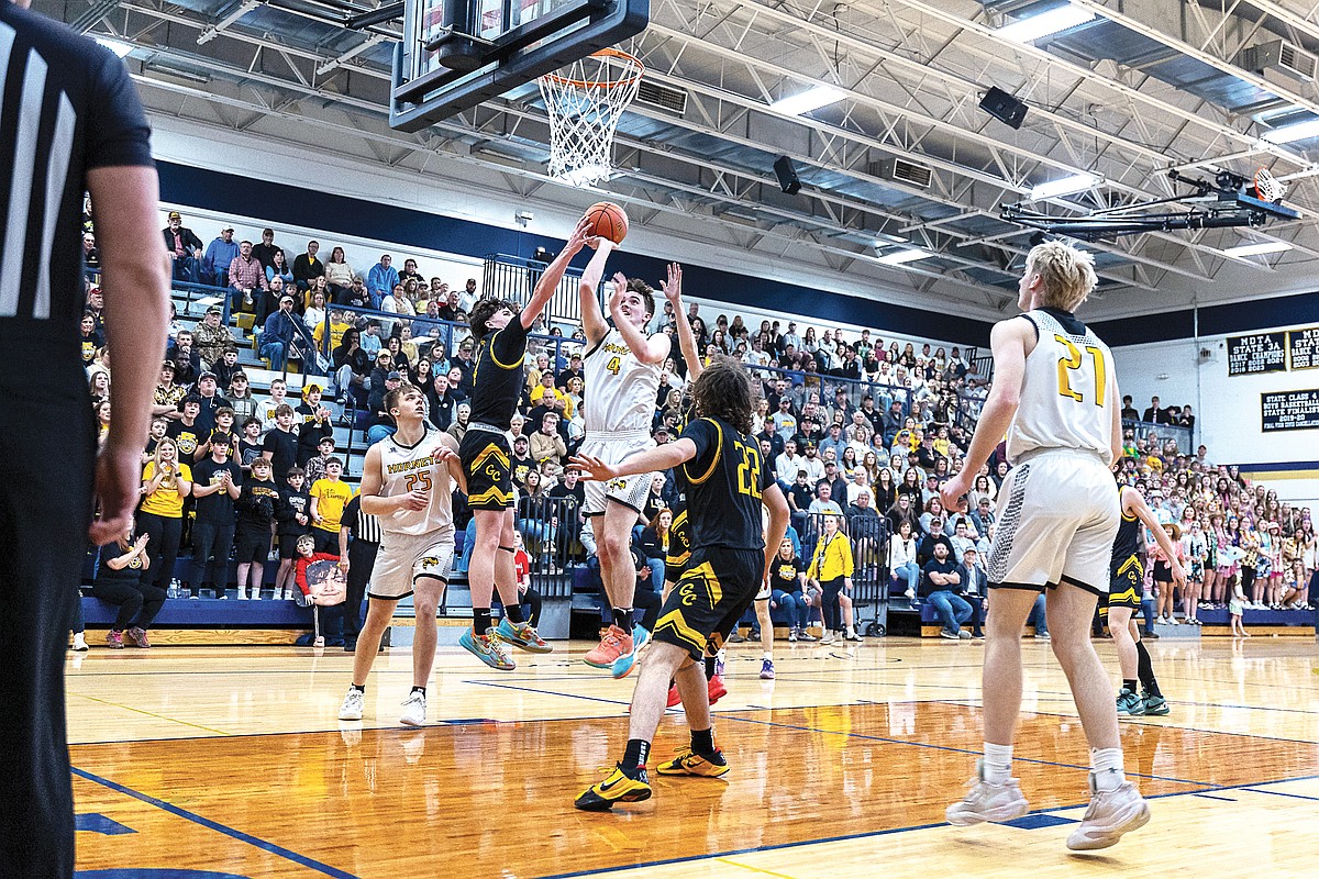 Heckemeyer’s two free throws send St. Elizabeth past Green City ...