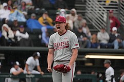 Baseball | Whole Hog Sports