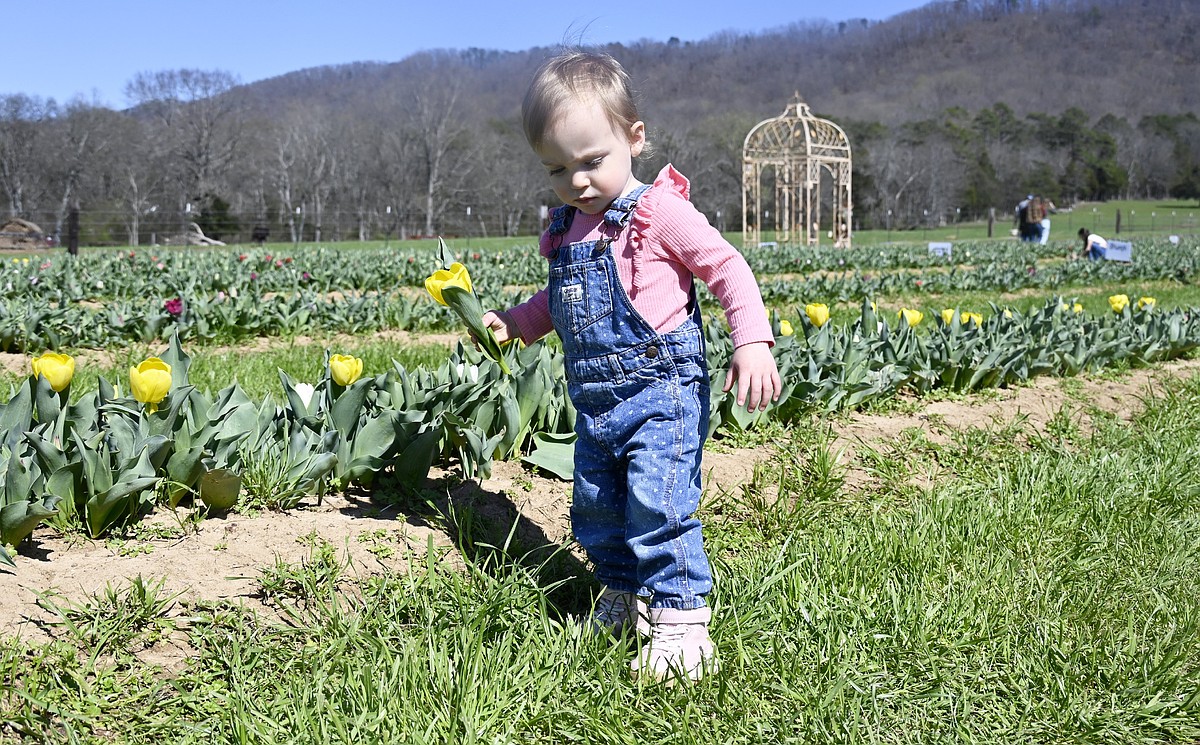 Ooltewah