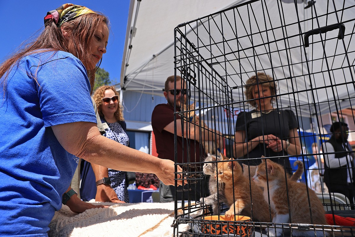 Lyon College veterinary school receives $11 million donation to ...