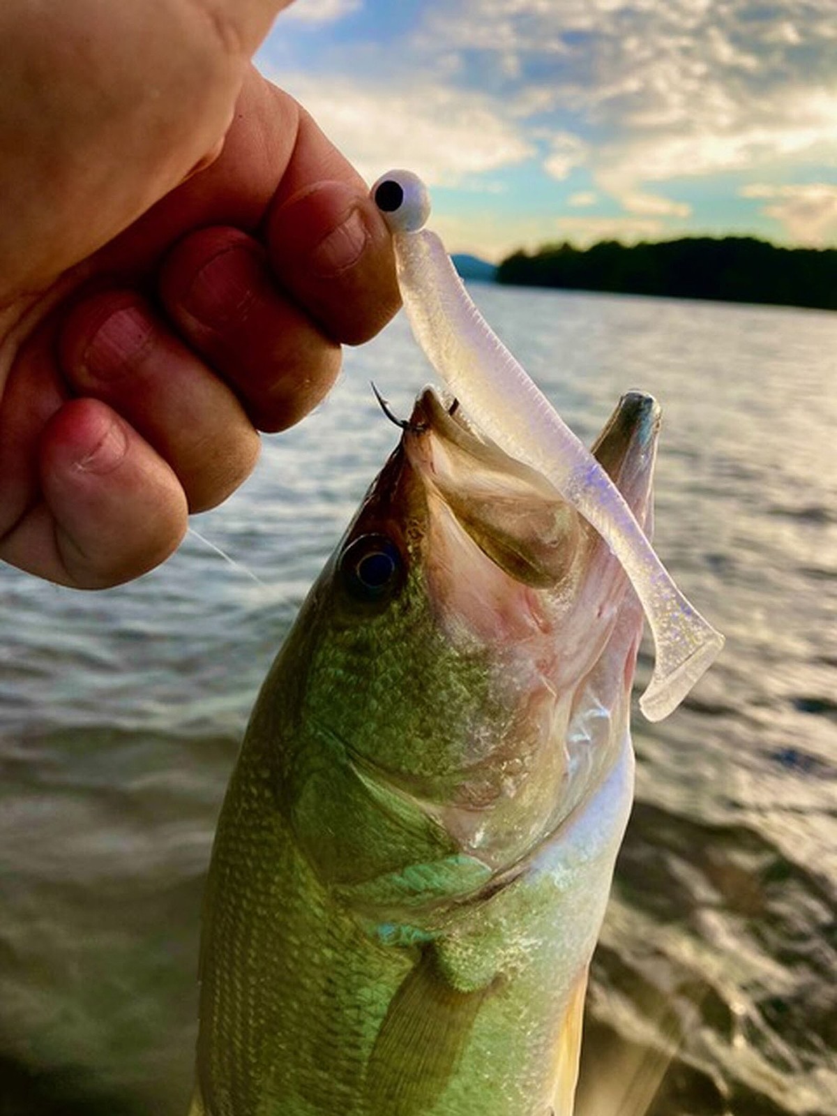 Specialty lures help at mid-depths | The Arkansas Democrat-Gazette ...