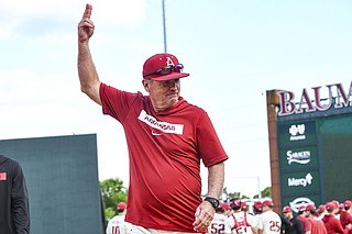 baseball crowd injuries