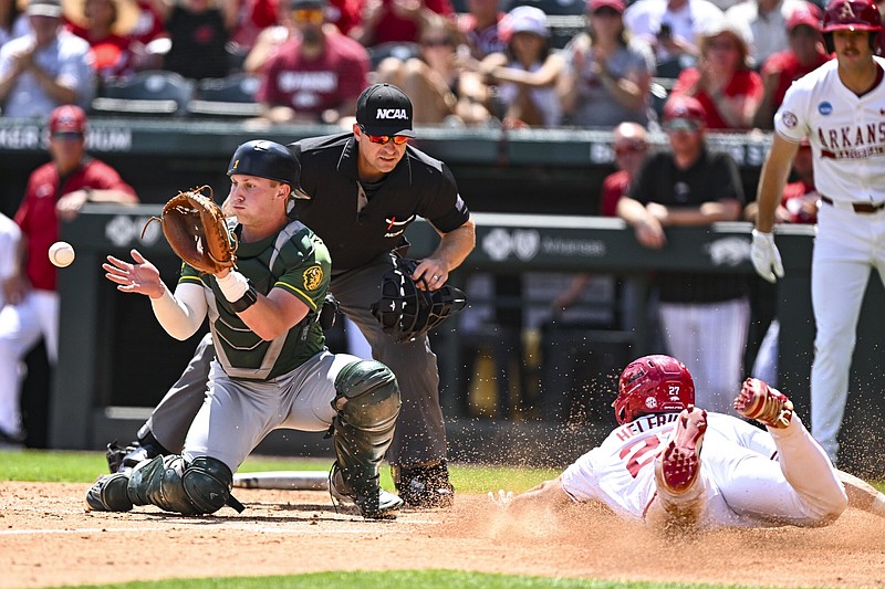 Not buffaloed: Timely hitting lifts Razorbacks over Bison | The ...