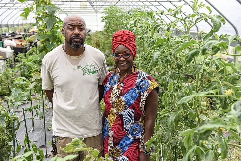 Partners behind south Little Rock urban farm working to promote fresh ...
