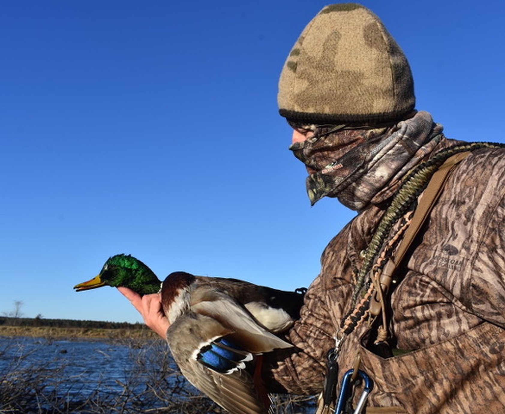 Not ducky: Dry prairies portend fewer ducks in fall migration ...