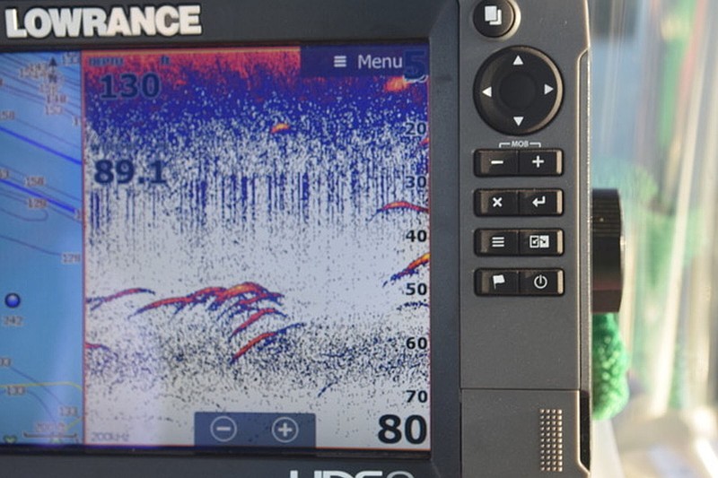 StriperRama!: Anglers enjoy exciting morning battling Ouachita bruisers ...