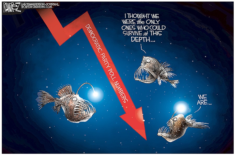 Democratic Party Poll Numbers | Chattanooga Times Free Press