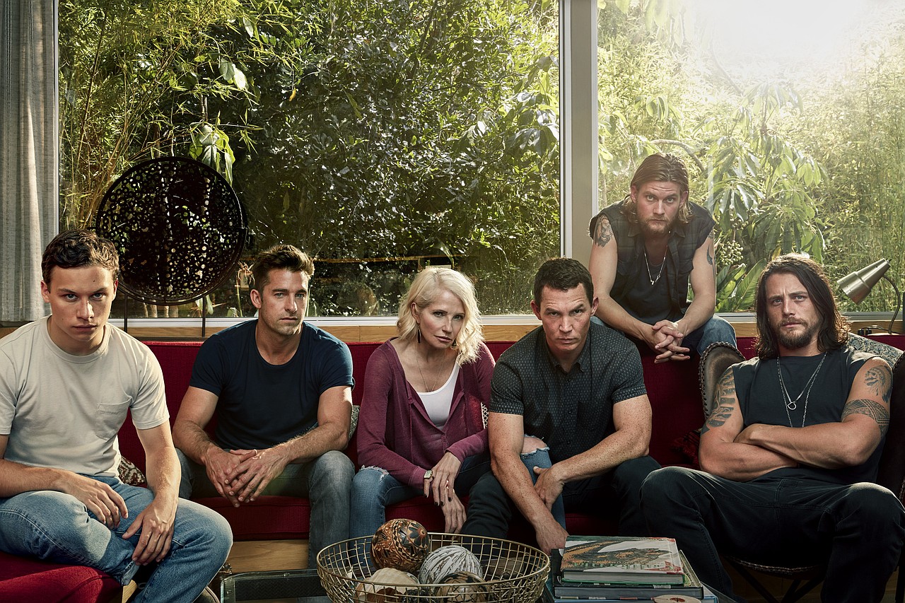 POPNOTES | OPINION: Netflix show 'Animal Kingdom' offers unpretentious ...