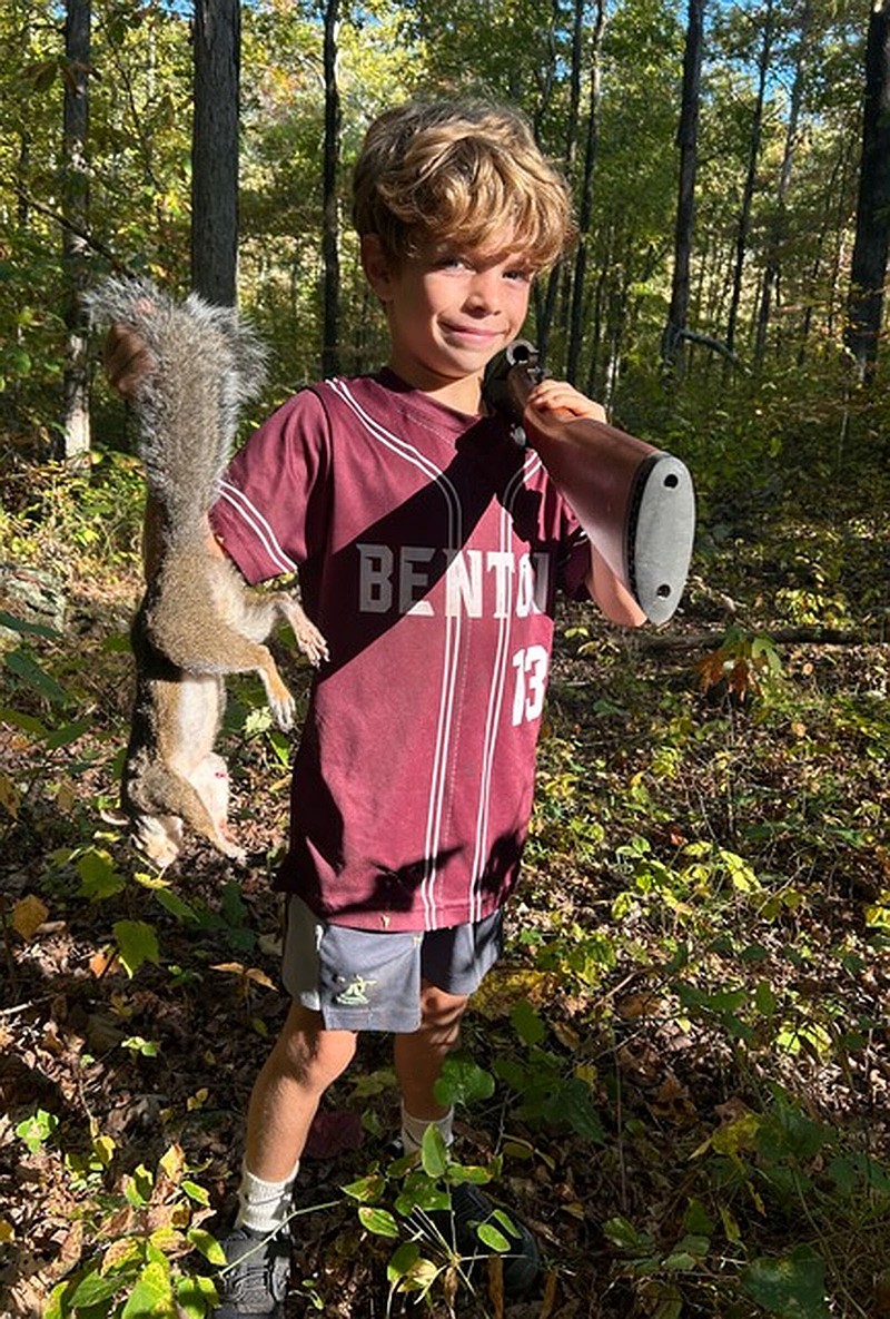 Squirrel’s nest | The Arkansas Democrat-Gazette - Arkansas' Best News Source