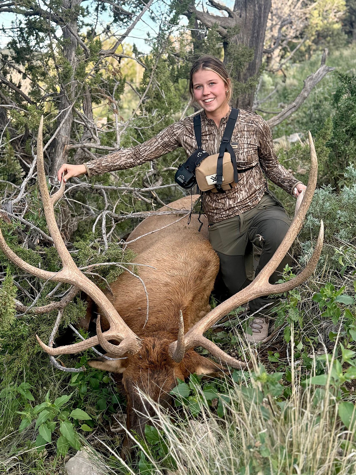 Sweet 16 nets a massive bull elk | Northwest Arkansas Democrat-Gazette