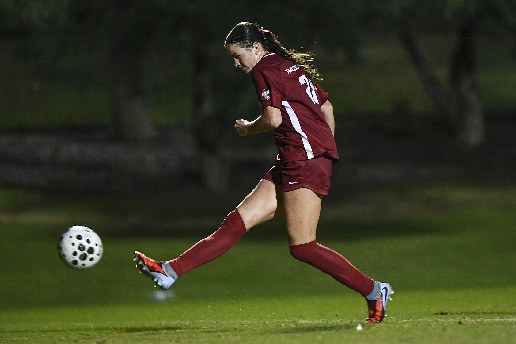 Razorbacks dig out of 2-0 hole for win | Northwest Arkansas Democrat ...