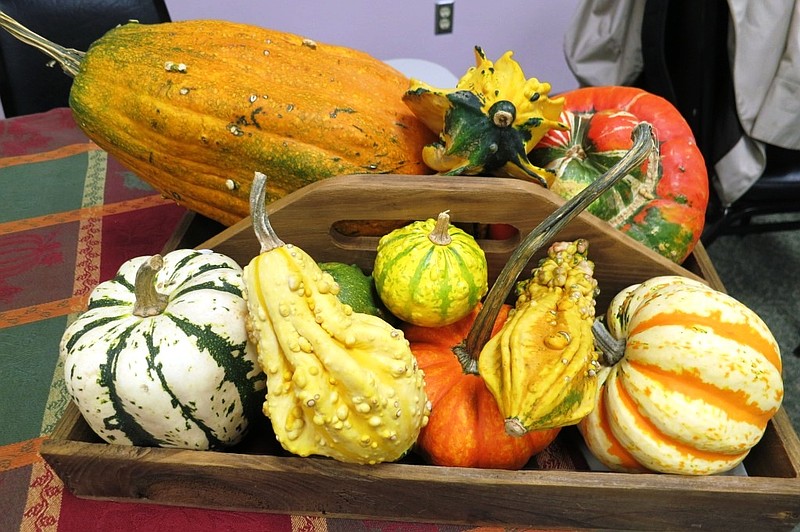 Pumpkins and Gourds | Plan It Janet