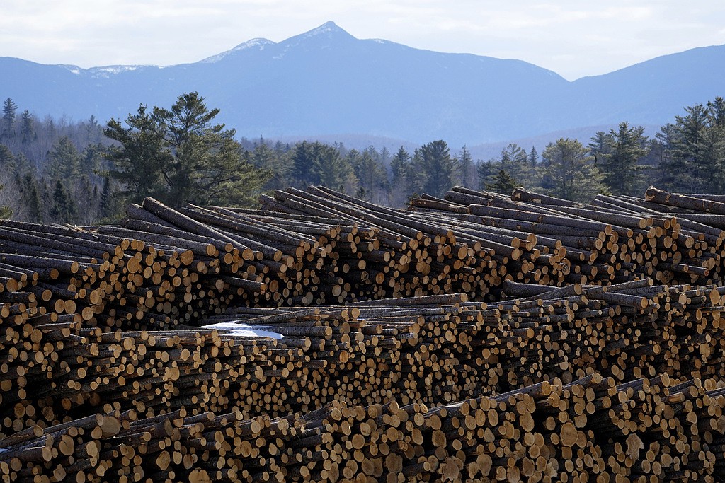 Timber companies PotlatchDeltic and Rayonier announce merger ...