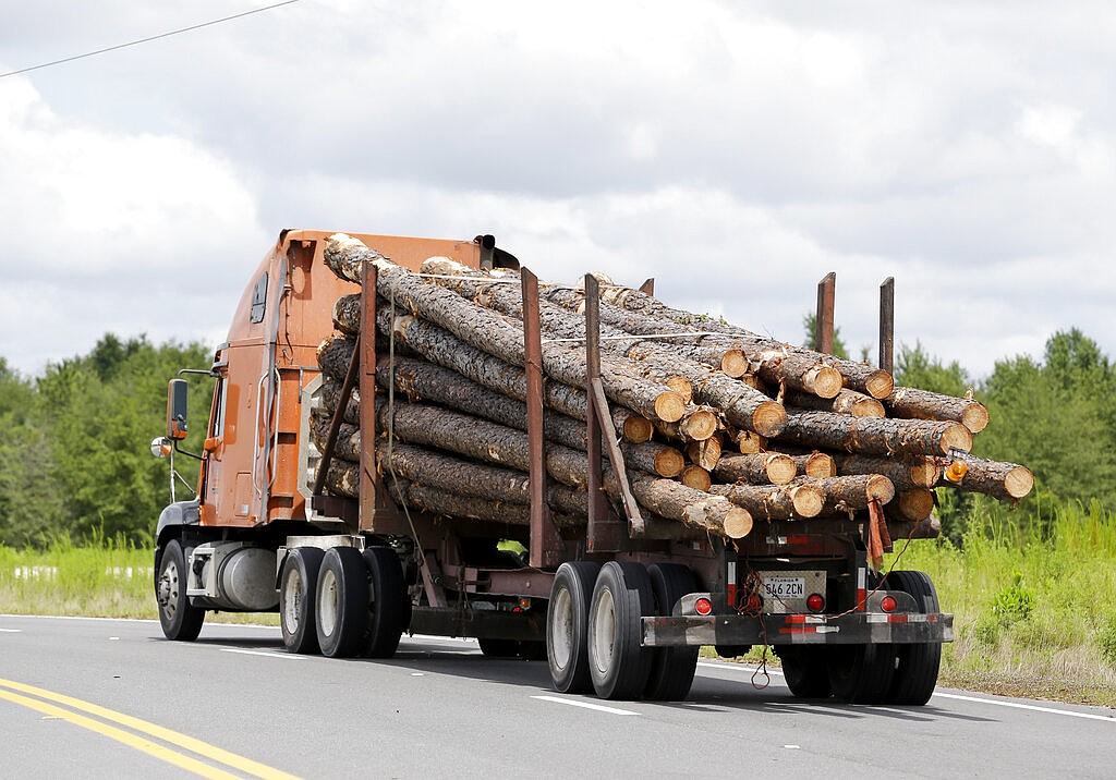 Arkansas’ forestry industry under strain from trade disputes, decreased ...